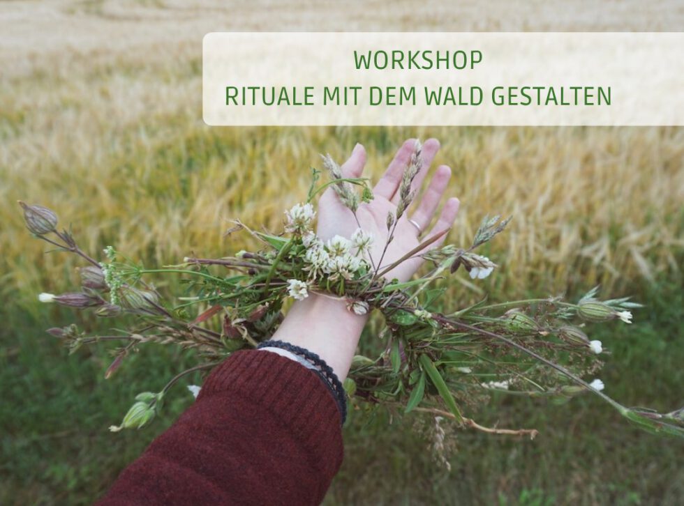 Waldbaden im Herbst - Blogartikel - achtsame Walderlebnisse